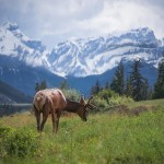 share with your friends your name your email recipient email enter a ...