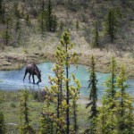 share with your friends your name your email recipient email enter a ...