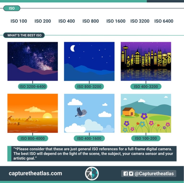 What is ISO Sensitivity? Understanding ISO in photography