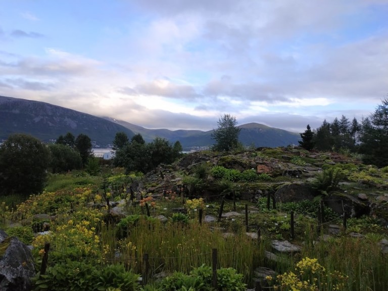 8 Best Museums in Tromso, Norway + Map