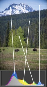 How to read a histogram? Understanding histograms in photography