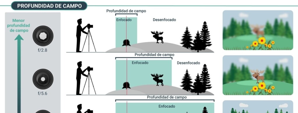 La PROFUNDIDAD DE CAMPO en fotografía explicada con ejemplos