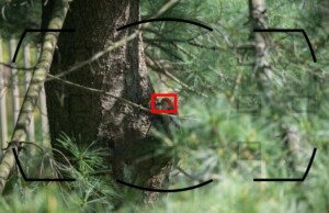 Focus modes explained - Understanding camera autofocus modes