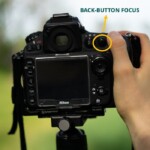 Focusing in photography explained - How to focus in photography