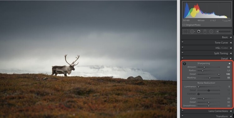 How to take tack-sharp images - Best photography sharpness tips