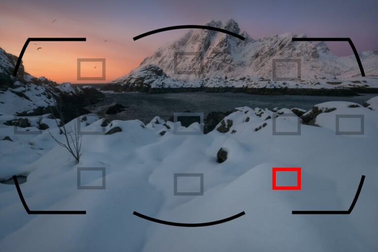 Focusing in photography explained - How to focus in photography