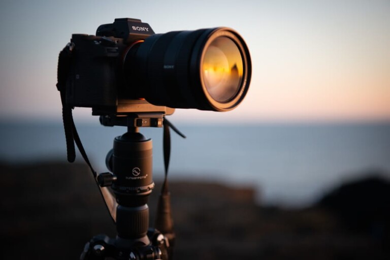 How to take tack-sharp images - Best photography sharpness tips