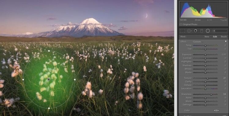 How to take tack-sharp images - Best photography sharpness tips