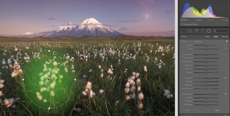 How to take tack-sharp images - Best photography sharpness tips