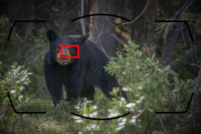 El enfoque en fotografía explicado - ¿Cómo enfocar en fotografía?