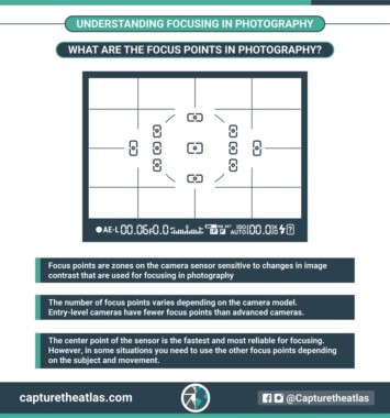 Focusing in photography explained - How to focus in photography