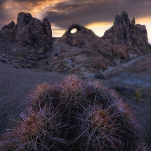 Focus Stacking in Photography – Step by Step Tutorial