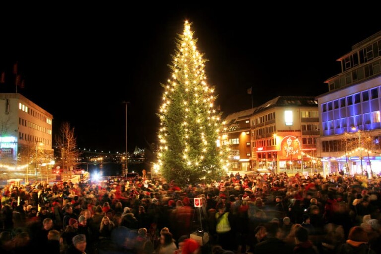 10 Best Things to Do in Tromso in Winter